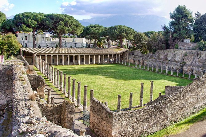 Pompeii Private Day Tour and Winery Stop - A Deep Dive into the Experience