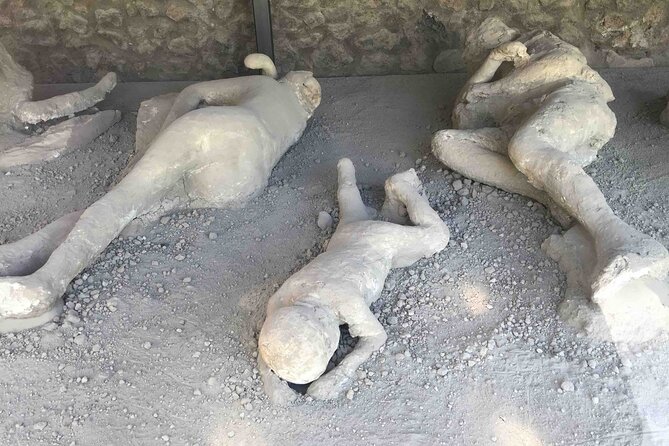 Pompeii Private Guided Half-Day Tour with transfer from Positano - Practical Considerations