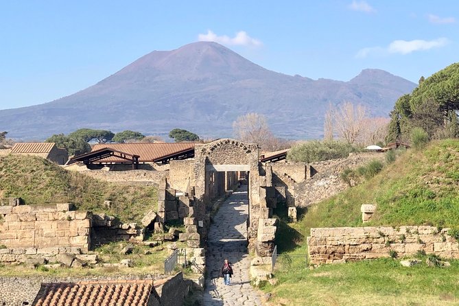 Pompeii Private Guided Tour Skip the Line - Pricing and Inclusions