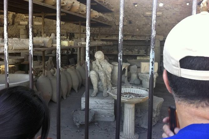 Pompeii Private Guided Tour Skip the Line - Highlights of the Guided Tour