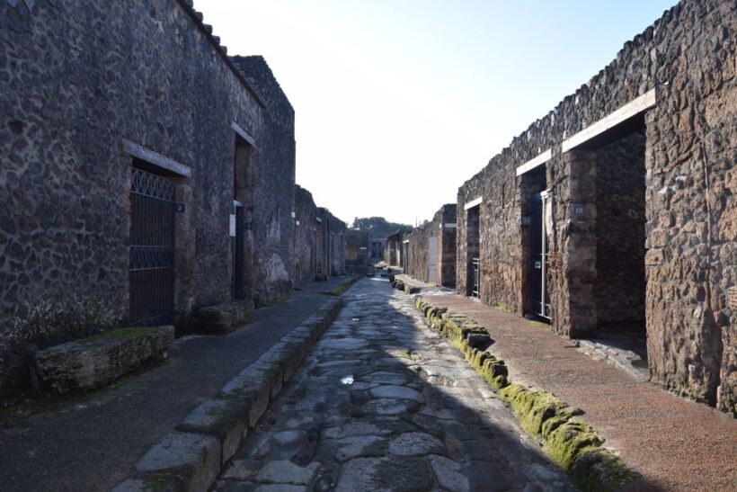 Pompeii Private Guided Tour with Lunch - The Sum Up