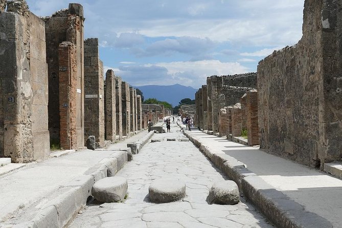 Pompeii Private Tour From Naples Cruise, Port or Hotel Pick up - Accessibility and Additional Details