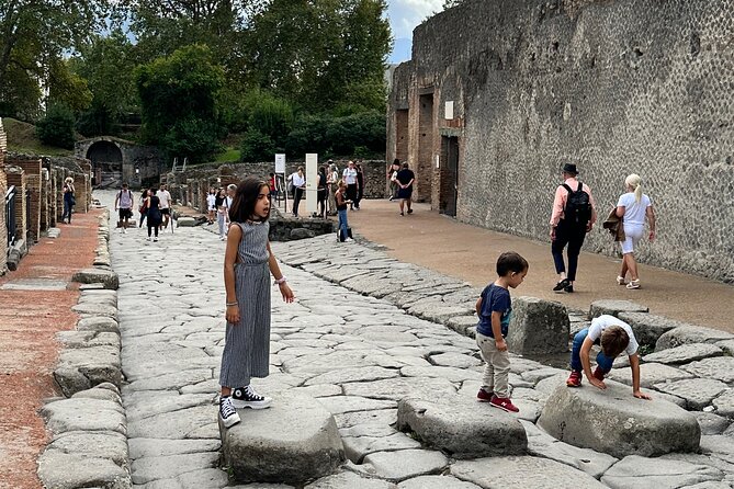 Pompeii Private Tour From Naples Cruise, Port or Hotel Pick up - Recommendations and Suitability