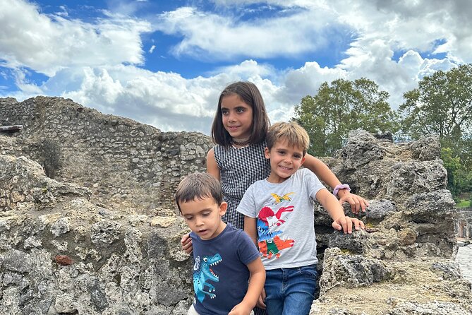 Pompeii Private Tour From Naples Cruise, Port or Hotel Pick up - Impressive Ratings and Accolades