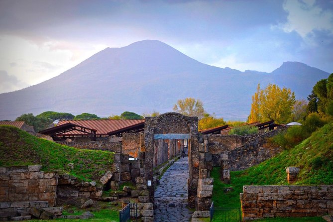 Pompeii Private Tour From Rome with Guide and Entrance tickets - Exploring Pompeii with a Private Guide