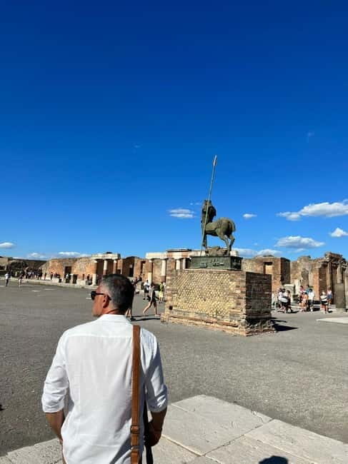 Pompeii Ruins: Guided Tour from Positano - Who Will Love This Tour?