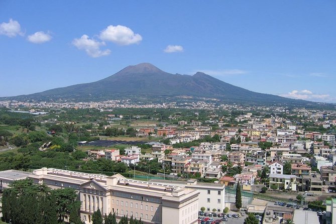 Pompeii ruins, Positano and Sorrento full day tour - Who would love this tour?