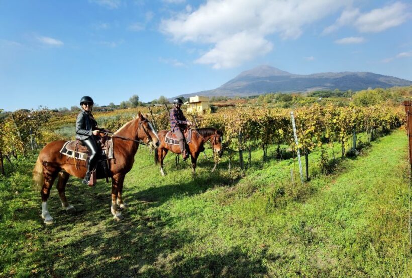 Pompeii: Ruins Tour and Mount Vesuvius Horseback Ride - Pompeii: Ruins Tour and Mount Vesuvius Horseback Ride