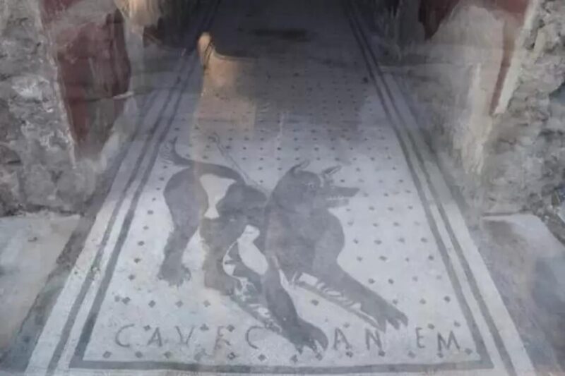 Pompeii: Skip the Line Ticket + Audioguide - Navigating Your Visit