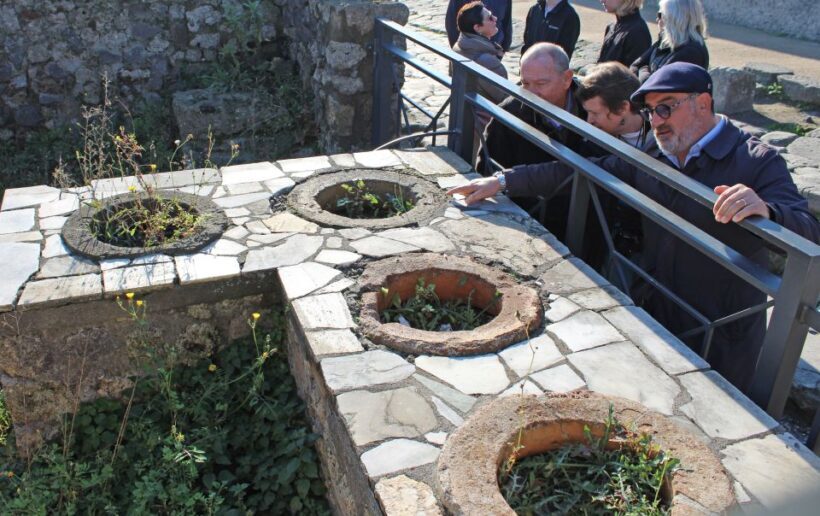 Pompeii: Skip-the-Line Tickets and Tour with Archaeologist - Who Will Love This Tour?