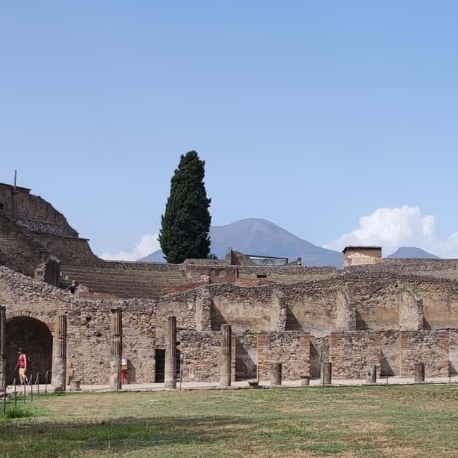 Pompeii: Skip-the-Line Tour with expert in archaeology Guide - Key Points