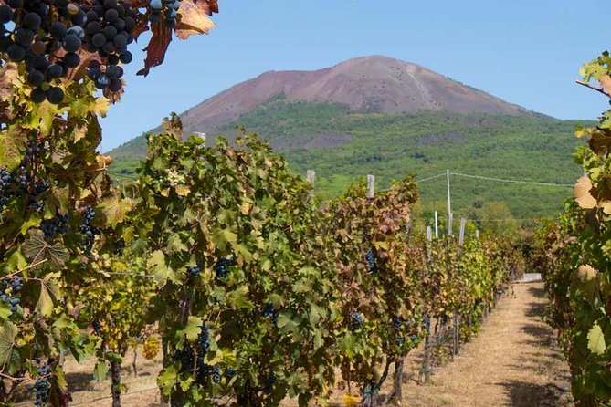 Pompeii SkipTheLine with Lunch&WineTasting from Rome - FAQ