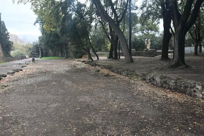 Pompeii - Small Group Tour - Inclusions and Pricing