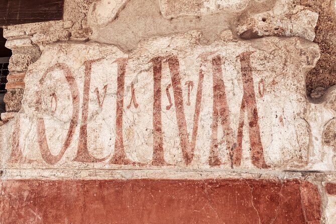 Pompeii Small Group With an Archaeologist and Skip the Line - Exploring the UNESCO-listed Pompeii Ruins