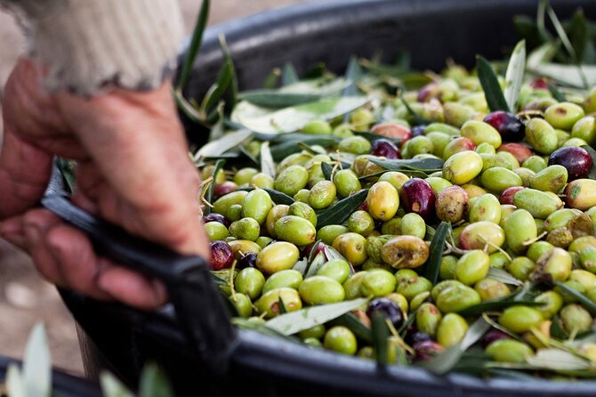 Pompeii Sorrento and Wine Tasting Tour from Naples - Authentic Experiences and Reviews