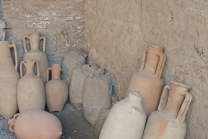 Pompeii Tour With Archaeologist - Inclusions and Accessibility
