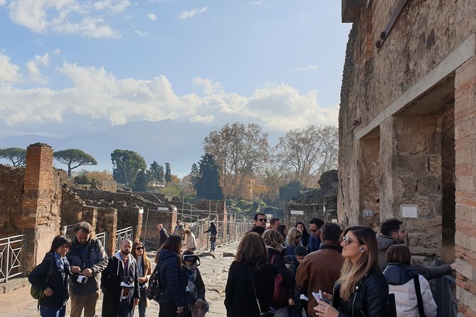 Pompeii tour with entrance ticket! - What to Expect from the Experience
