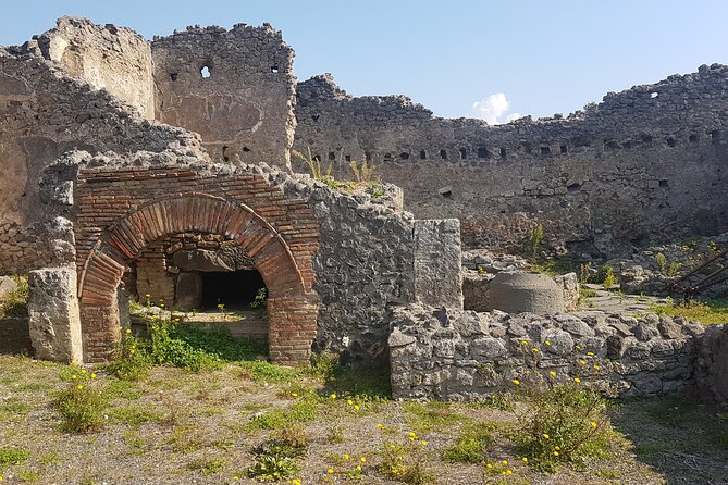 Pompeii Tour With Experienced Guide - Operating Hours and Accessibility