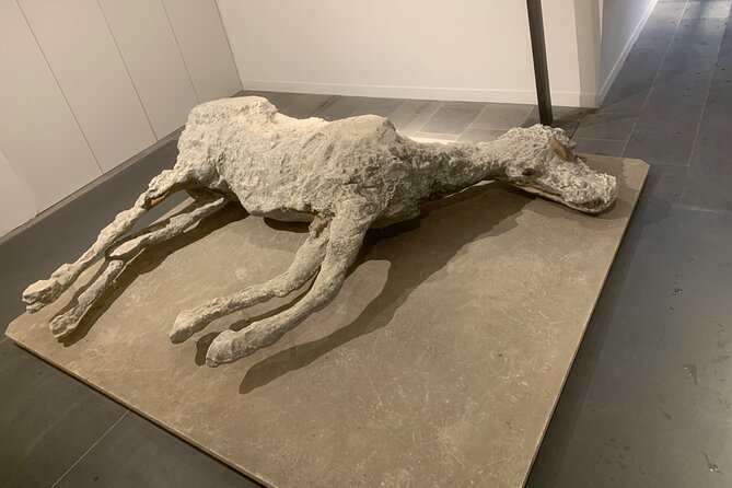 Pompeii Tour With LOCAL GUIDE and SKIP the LINE Entrance - Exploring Pompeii With a Local Guide