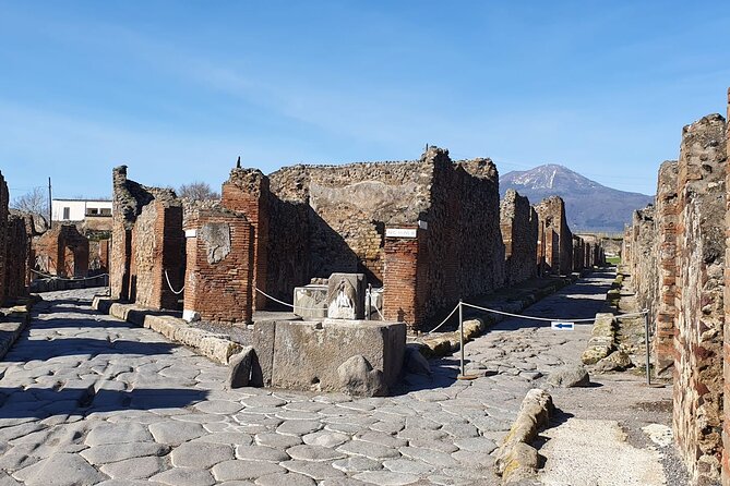 Pompeii Vesuvius Day Tour From Naples With Italian Lunch and Wine - Inclusions and Logistics
