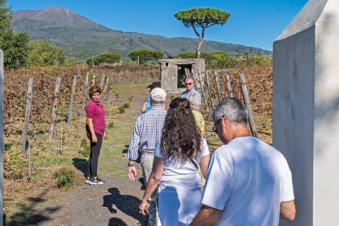 Pompeii Vesuvius Day Tour From Naples With Italian Lunch and Wine - Hiking Mt. Vesuvius