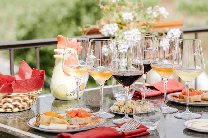 Pompeii Vesuvius Day Tour From Naples With Italian Lunch and Wine - Guest Feedback