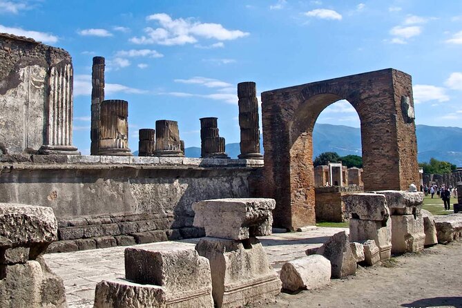 Pompeii, Vesuvius & Wine Tasting - Taking in the World of Wine Tasting