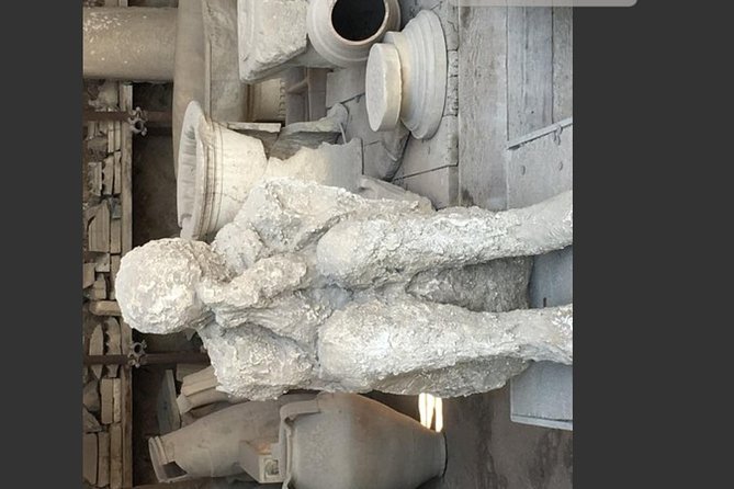 Pompeii, Vesuvius & Wine Tasting Private day Tour - Practical Details: Price, Duration, and Logistics