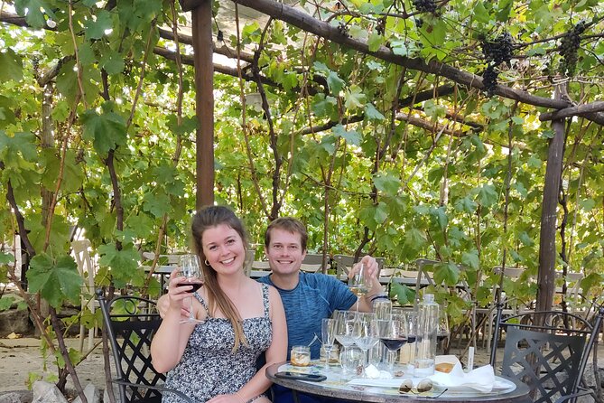 Pompeii, Vesuvius & Wine Tasting Private day Tour - Authentic Reviews: What Travelers Say