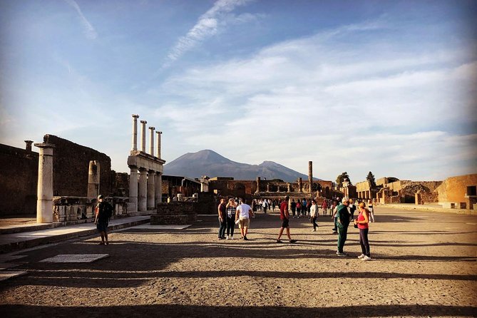 Pompeii & Vesuvius With Lunch & Wine Tasting From Positano - Traveler Feedback and Experiences