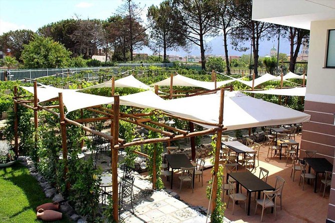 Pompeii & Vesuvius with Wine Tasting from the Coast - Frequently Asked Questions