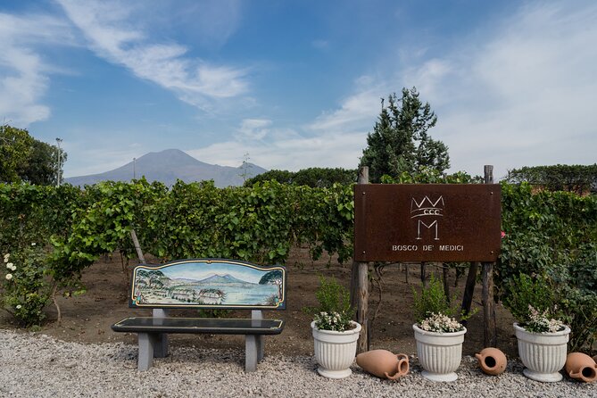 Pompeii Vineyard Escape: Private Wine Tasting & Lunch - The Value of This Tour