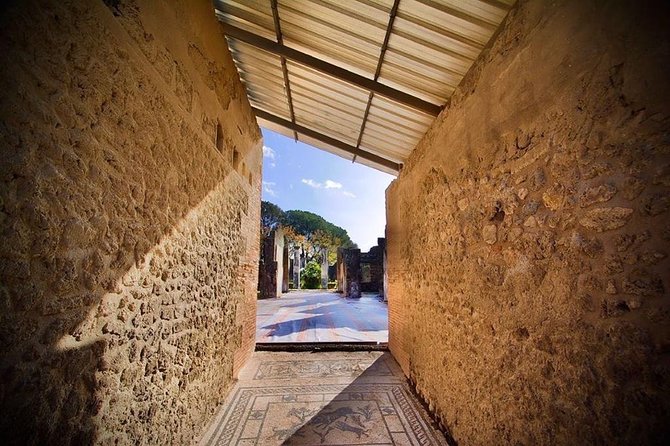 Pompeii Visit With Food and Wine Tasting Near Mt. Vesuvius - Highlights of Pompeii: Temples and Frescoes