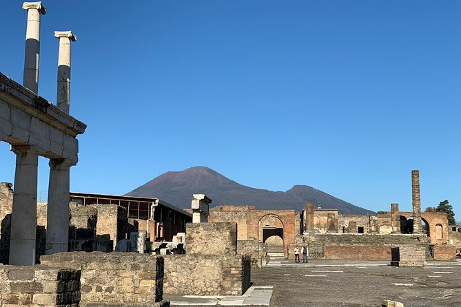 Pompeii Visit With Food and Wine Tasting Near Mt. Vesuvius - Family-Friendly Options