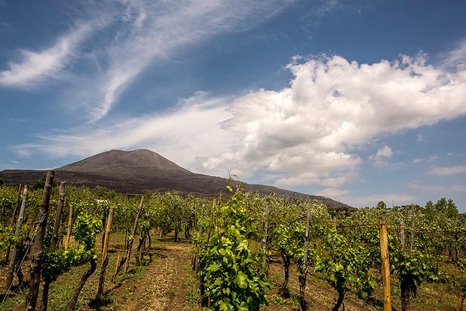Pompeii Visit With Food and Wine Tasting Near Mt. Vesuvius - Planning Your Visit: Important Information