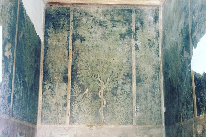 Pompeii walking tour (2hrs) - Analyzing the Value