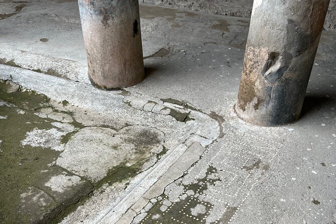 Pompeii walking tour (2hrs) - Who Should Book This Tour?