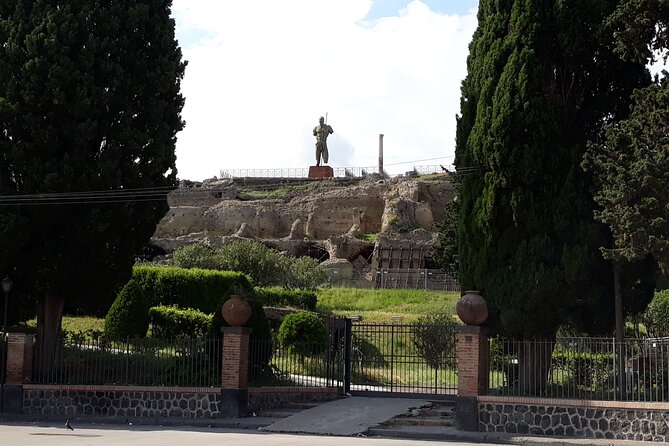 Pompeii & Wine Tasting: Private Day Tour from Naples - Who Will Love This Tour?