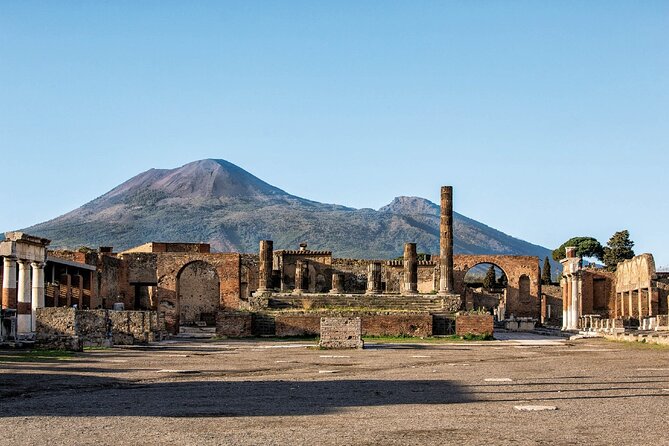 Pompeii & Wine Tasting: Private Day Tour from Naples - The Sum Up