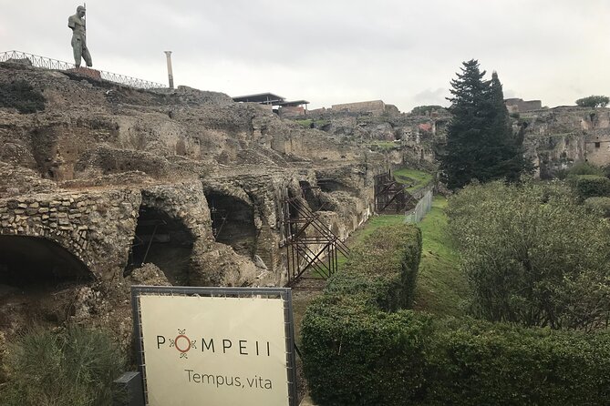 Pompeii Wine Tasting Tour From Positano - Departure Details and Meeting Point Information