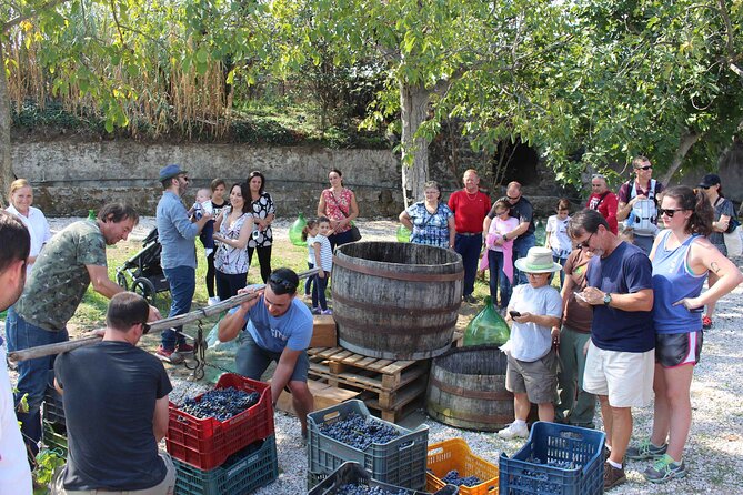 Pompeii Wine Tasting Tour From Positano - What Travelers Have to Say: Reviews and Ratings