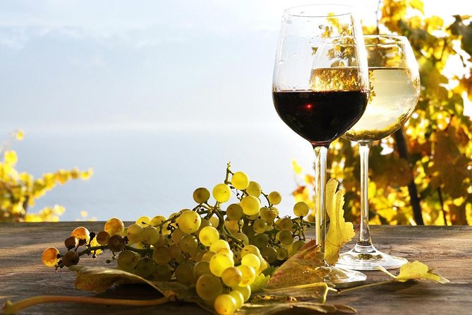 Pompeii & Wine Tour from Sorrento (tickets & lunch not included) - The Scenic Wine & Food Experience