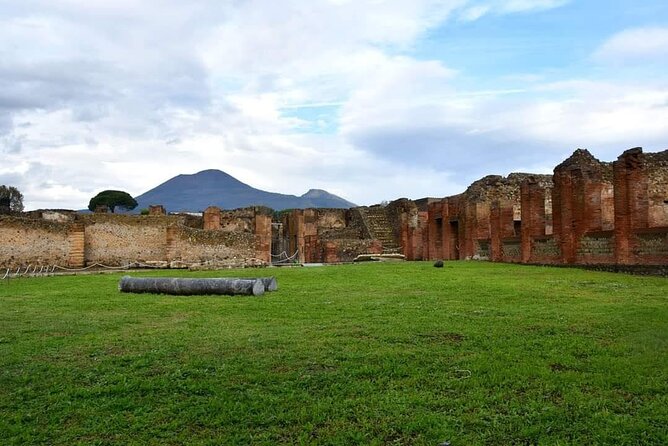 Pompeii & Wine Tour from Sorrento (tickets & lunch not included) - FAQ
