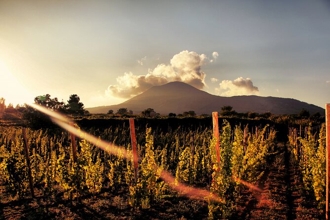 Pompeii With Wine Tasting and Lunch From Naples - Sample Menu