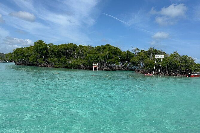 Ponce, Yauco, La Parguera & BioBay Full Day Experience - An Introduction to the Tour Experience