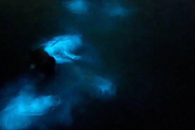 Ponce, Yauco, La Parguera & BioBay Full Day Experience - A Closer Look at the Itinerary