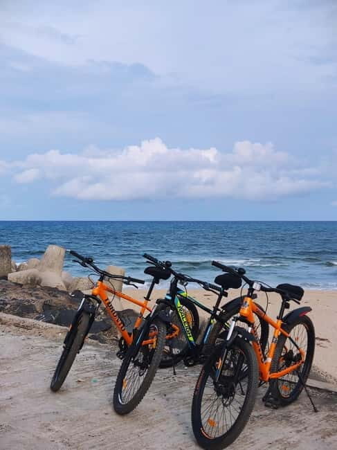 Pondicherry Beaches and History Guided Tour - Final Thoughts