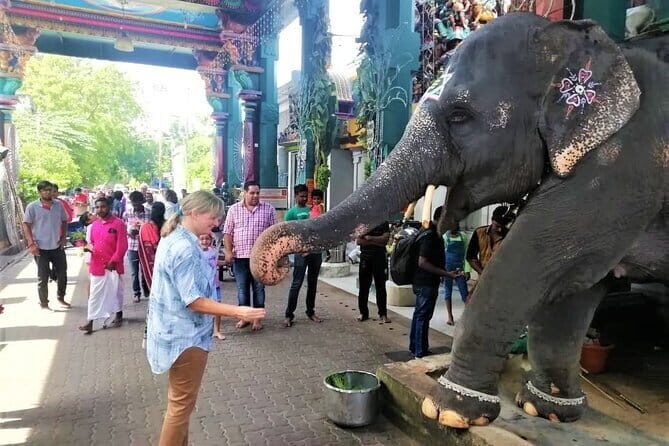Pondicherry city sightseeing by Private vehicle - The Itinerary in Detail