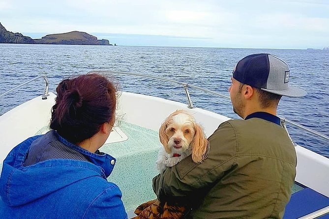 Ponta De São Lourenço Boat Tour - Since You Asked