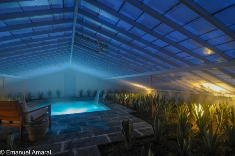 Ponta Delgada: Greenhouse Hot Tube with Pineapple Tour - Who Will Love This?